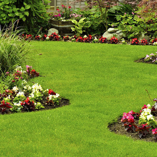 COREY TREE & LANDSCAPE LLC - Project Photos & Reviews - Haverhill, MA ...