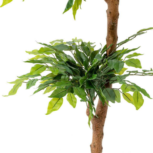 5' Creative Shaped Faux Ficus Tree in Pot - Traditional - Artificial ...