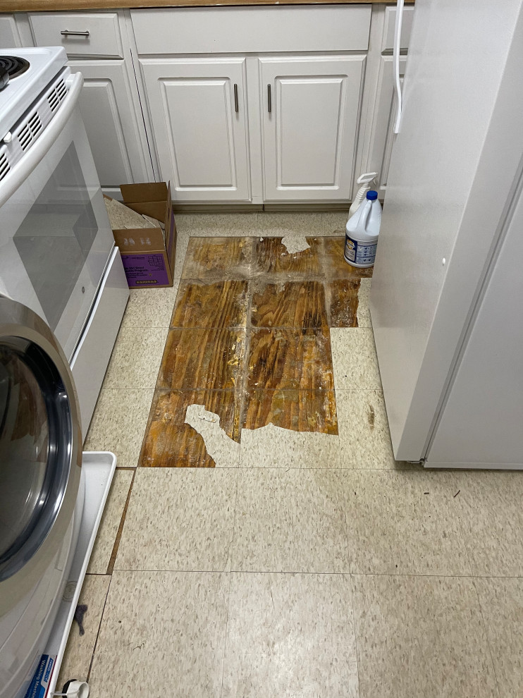 Does this subfloor look rotted?