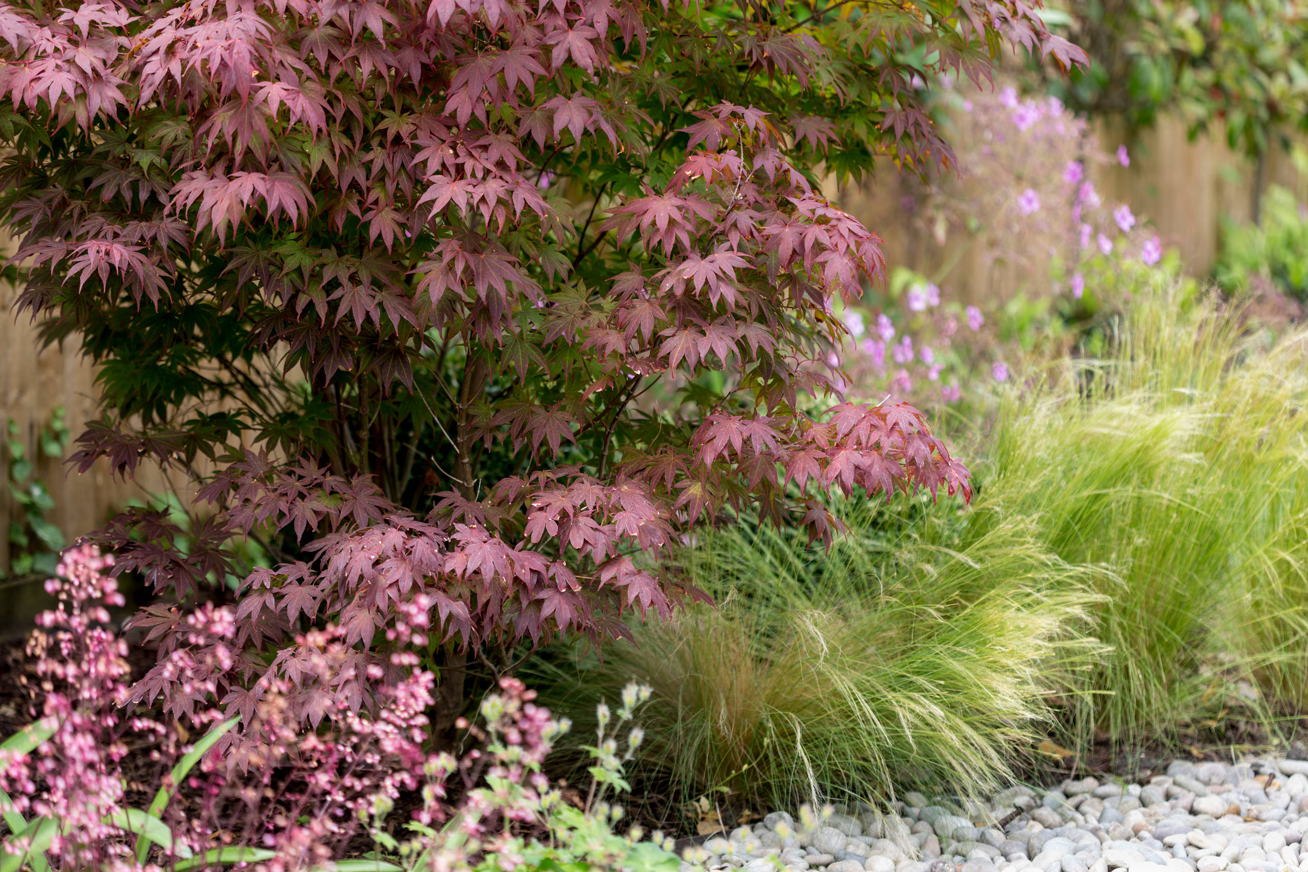 Garden Tour: Sweeping Curves Make a Long, Narrow Plot Feel Wider | Houzz UK