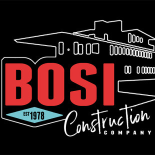 BOSI CONSTRUCTION - Project Photos & Reviews - Tinley Park, IL US | Houzz