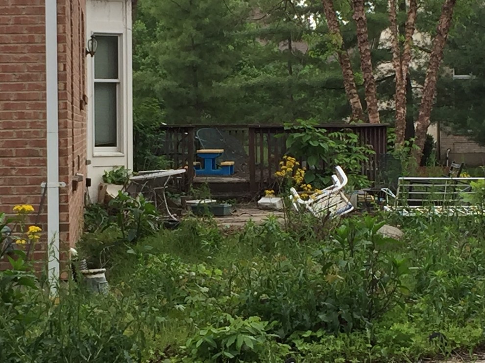 The Polite House: How to Handle Fences and Neighbors