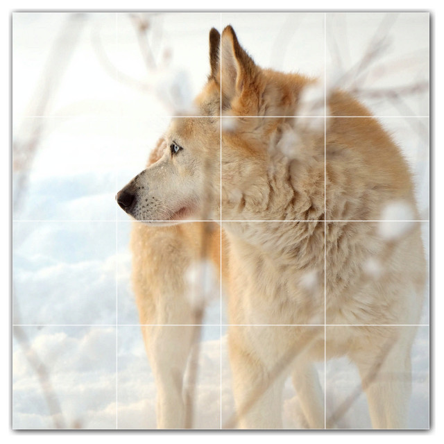 Wolf Ceramic Tile Wall Mural HZ501244, 24" Wide x 24" High - Rustic ...