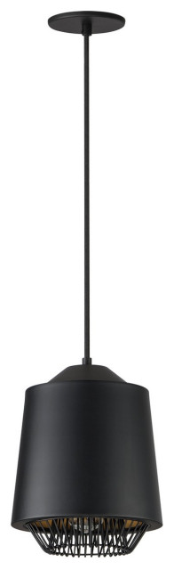 Phoenix LED Pendant, Black / Gold - Industrial - Pendant Lighting - by ...