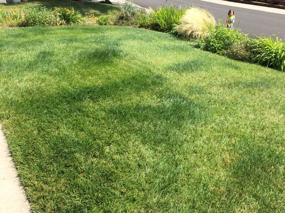 Patchwork Quilt Lawn