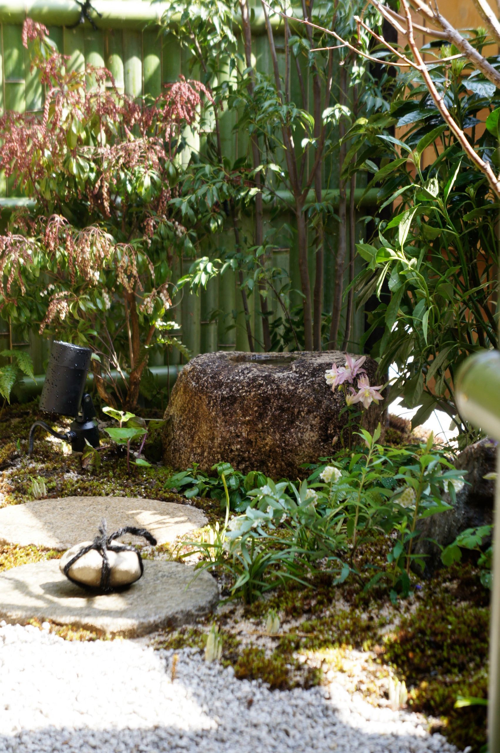 Japanese Tea Garden Design Ideas 15 Cozy Japanese Courtyard Garden