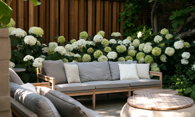 London Courtyard Blooms With Year-Round Color