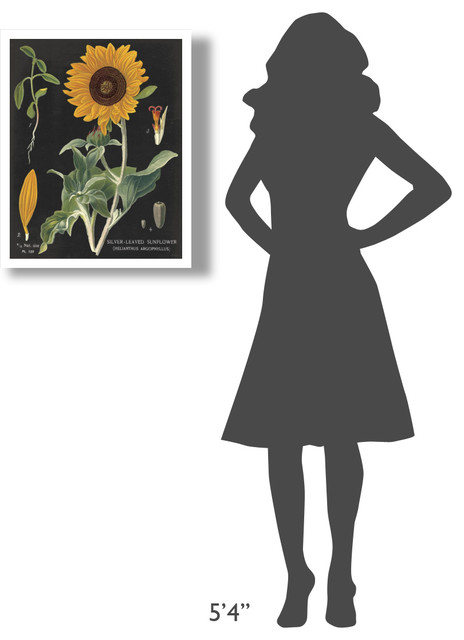 "Sunflower Chart" Digital Paper Print by Sue Schlabach, 18"x22", 20"x24 ...