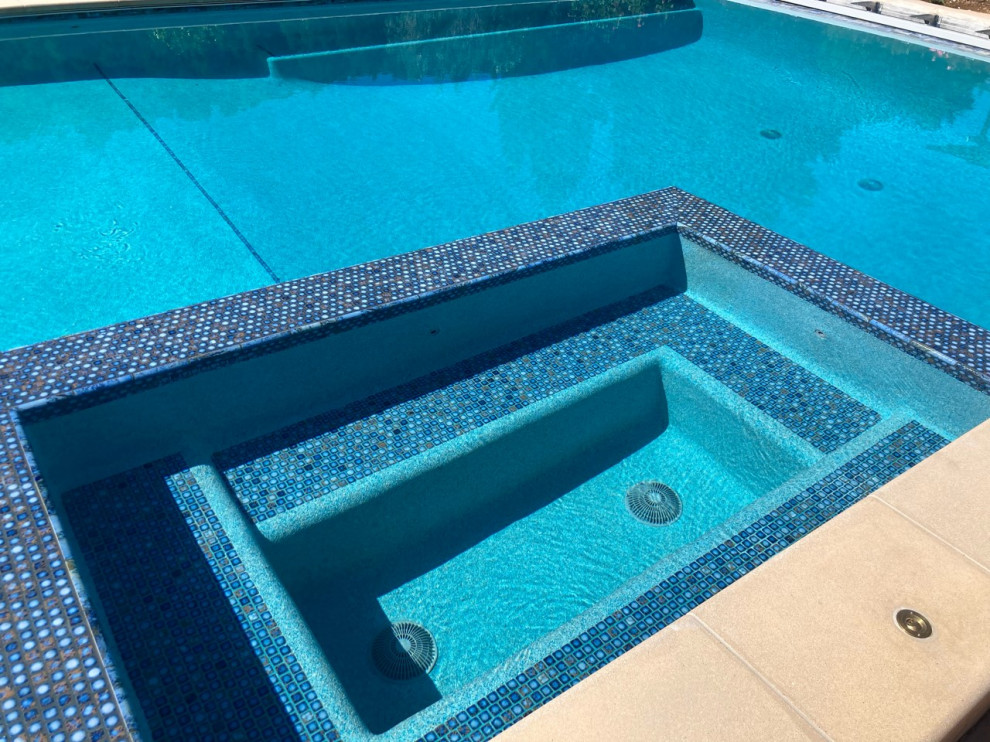 Builder Spotlight - Royal Pools - Modern - Pool - San Francisco - by ...