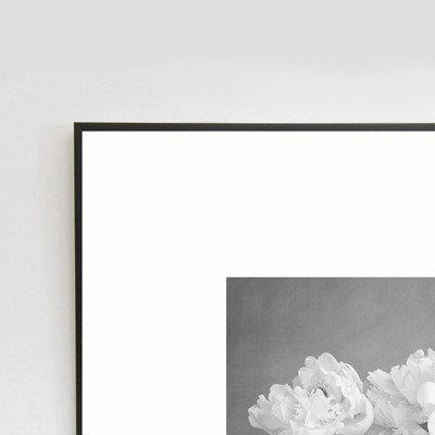 Poster Frame - Flat Black Metal - Contemporary - Picture Frames - by ...