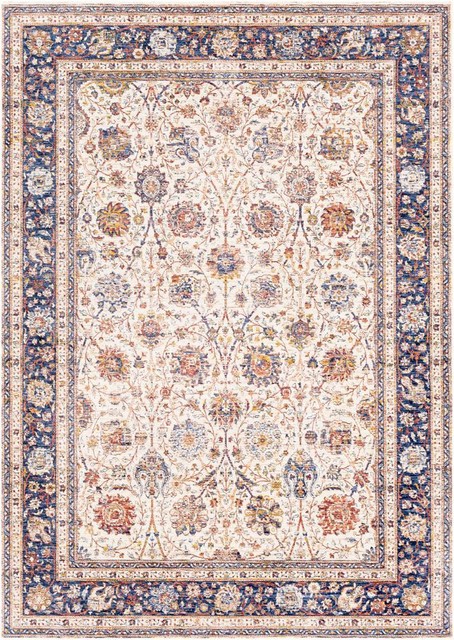 Machine Woven Mahal Area Rug MHL-2301, 3'x5' - Traditional - Doormats ...