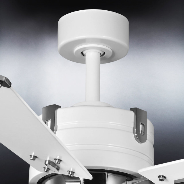 Luxury Transitional Ceiling Fan, Matte White - Transitional - Ceiling ...