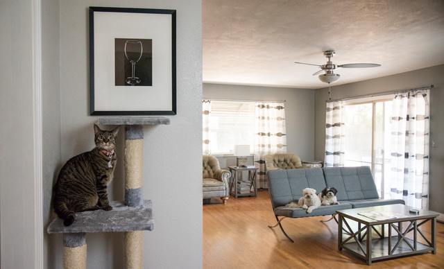 Pet’s Place: This Home Is Tailor-Made for Dogs and Cats