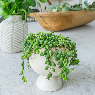 TOMMY SHELDON PHOTOGRAPHY - Project Photos & Reviews - Baltimore, MD US ...