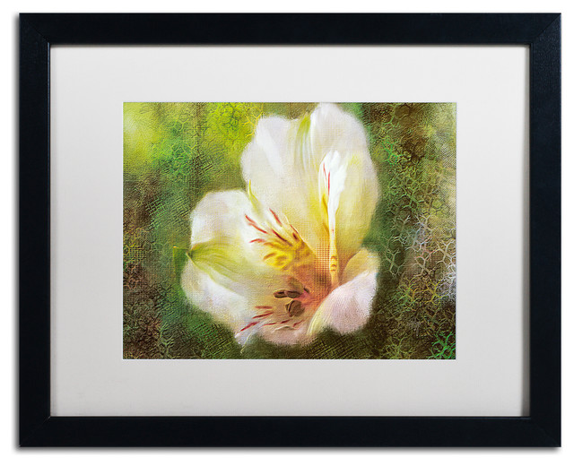 Lois Bryan 'Lily of the Incas' Art, 20"x16" - Contemporary - Prints And ...