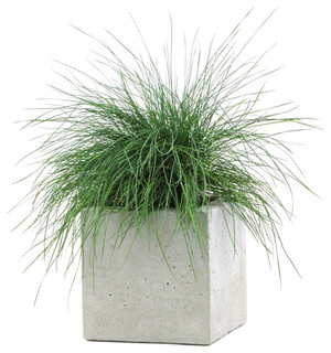 Square Concrete Planter - Industrial - Indoor Pots And Planters - by ...