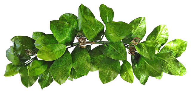 Magnolia Leaf Swag - Contemporary - Wreaths And Garlands - by Artisan ...