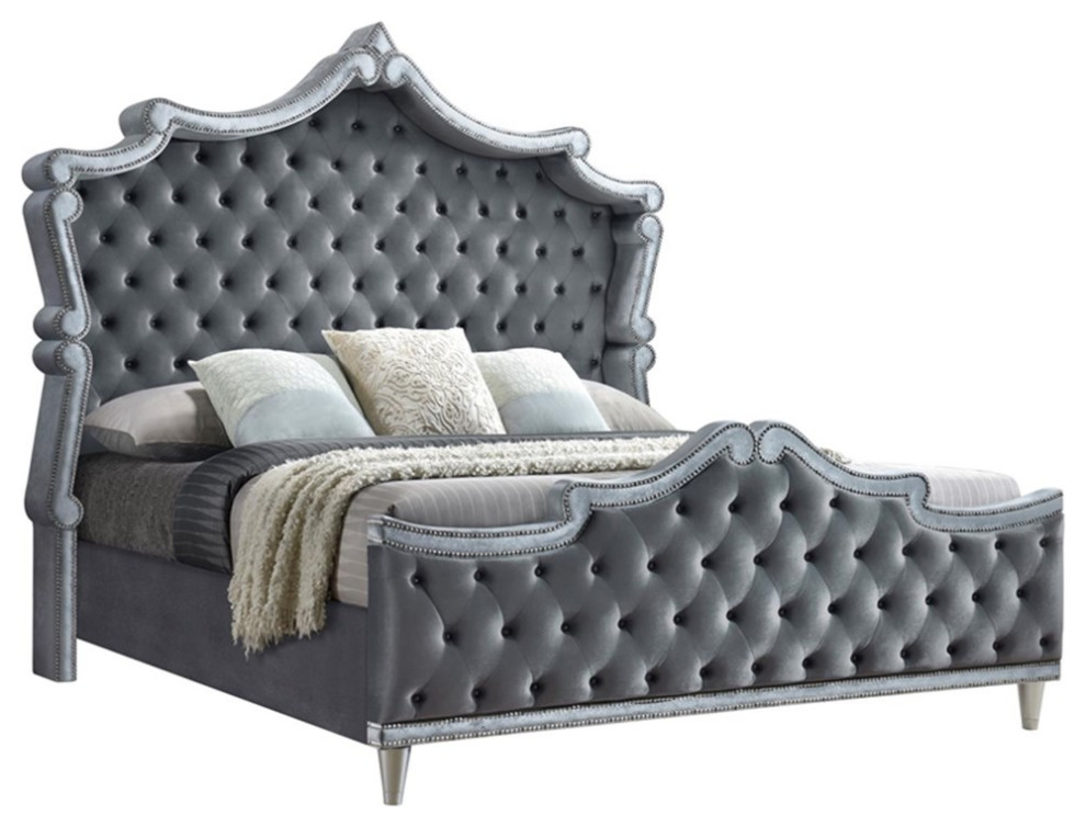 Coaster Antonella Velvet Upholstered Tufted Queen Bed in Gray, Queen ...