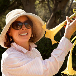 WG DESIGN - Project Photos & Reviews - Los Angeles, CA US | Houzz