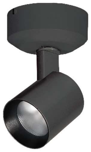 Lucio Narrow 24 DGR. Spot Light - Transitional - Spot Lights - by ...