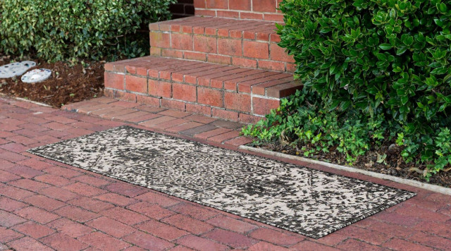 Traditional Destiny Area Rug, 6'x9' - Contemporary - Outdoor Rugs - by ...