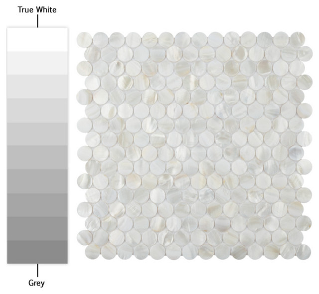Conchella Mini Penny Seashell Mosaic Wall Tile, White, Sample - Beach ...