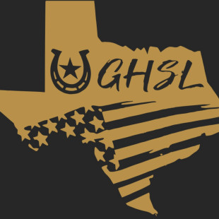 GHSL BUILDING GROUP LLC. - Project Photos & Reviews - Arlington, TX US ...