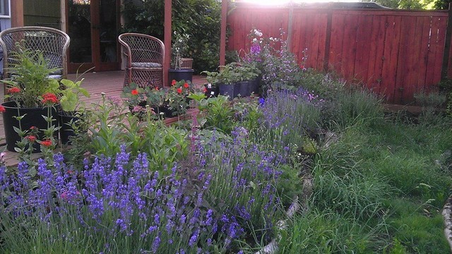 Flowers On Stained Deck