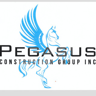 PEGASUS CONSTRUCTION GROUP INC - Project Photos & Reviews - St. Petersburg, FL US | Houzz