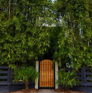 OLD FLORIDA LANDSCAPE DESIGN - Project Photos & Reviews - Jacksonville ...