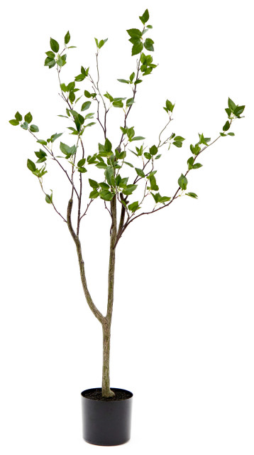 4ft. Minimalist Citrus Artificial Tree - Modern - Artificial Plants And ...