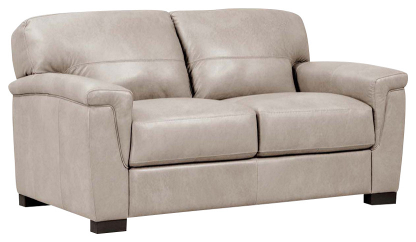 Leather Upholstery Loveseat, Beige - Contemporary - Loveseats - by ...