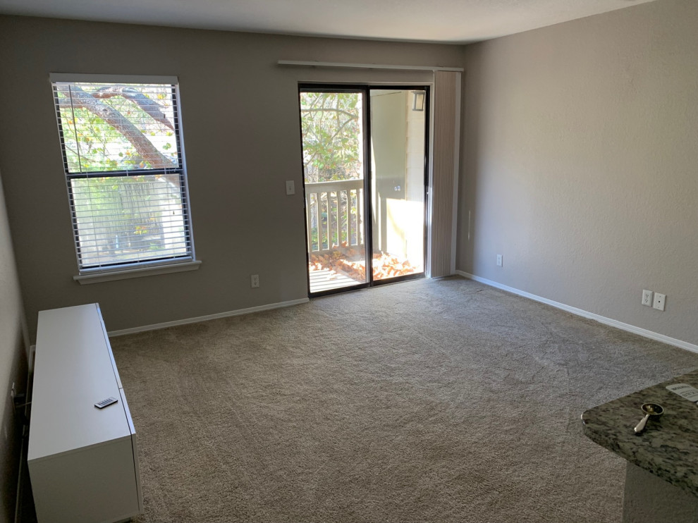 Blank slate living room-Miami Modern