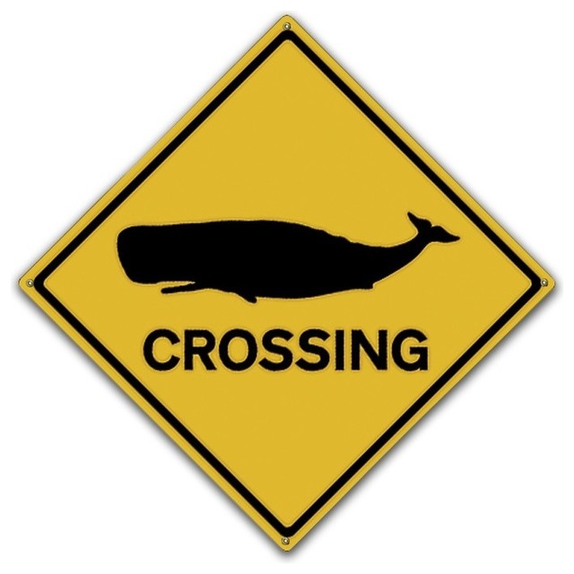 Whale Crossing, Classic Metal Sign - Beach Style - Novelty Signs - by ...