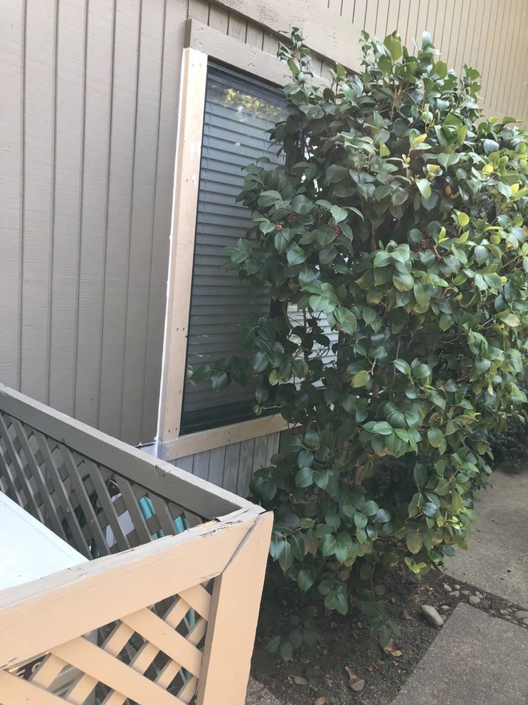 The T1-11 4″ OC Siding and Trim Dry Rot Repair - Sacramento - by Elite ...