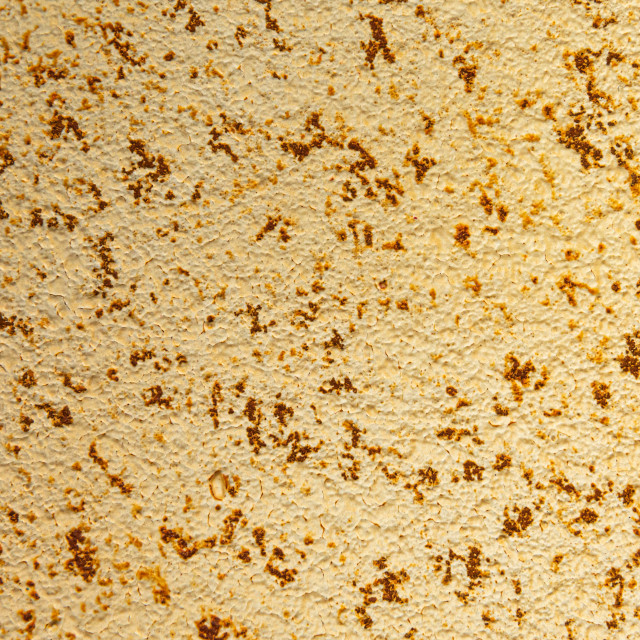 Distressed Metal Tuna Tail Accent Decor, Aqua - Beach Style - Wall ...