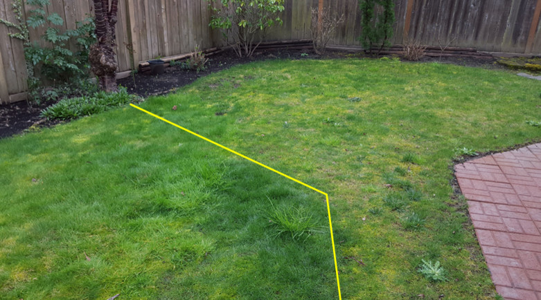 Backyard Blunder - Need Advice and Help