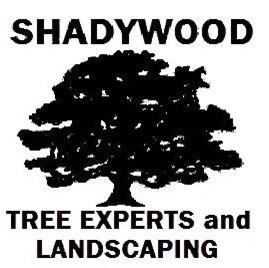 SHADYWOOD TREE EXPERTS INC - Project Photos & Reviews - Hopkins, MN US ...