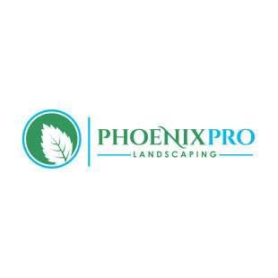 PHOENIX PRO LANDSCAPING - Project Photos & Reviews - Gilbert, AZ US | Houzz