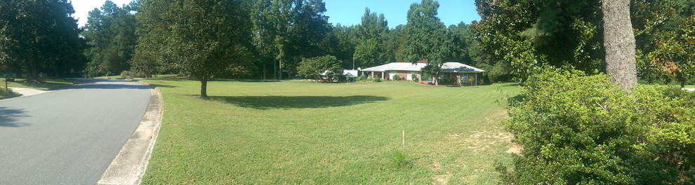 8 Native Grasses and Sedges for Southeastern Gardens