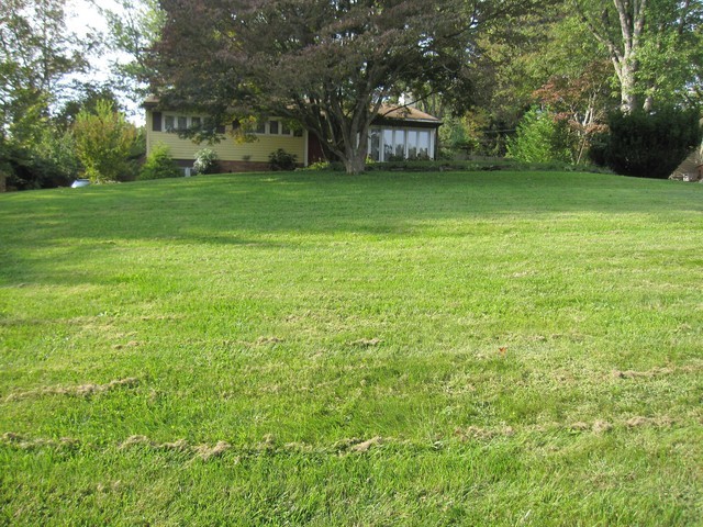 Any curb appeal ideas for a ragged looking front yard? | Houzz Forum