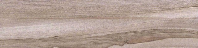 Aspenwood Ash Porcelain - Traditional - Wall And Floor Tile - by ...