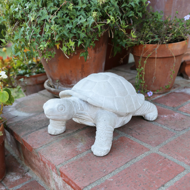 Turtle Cement Figurine, Concrete Gray - Beach Style - Decorative ...