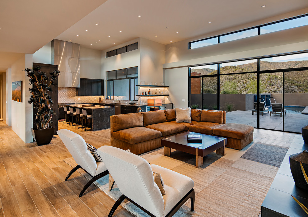 Terry Kilbane / Desert Modern / Saguaro Forest / Desert Mountain ...