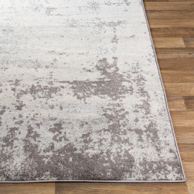 Chester CHE-2341 Rug, 6'7"x9' - Contemporary - Area Rugs - by Area Rugs ...