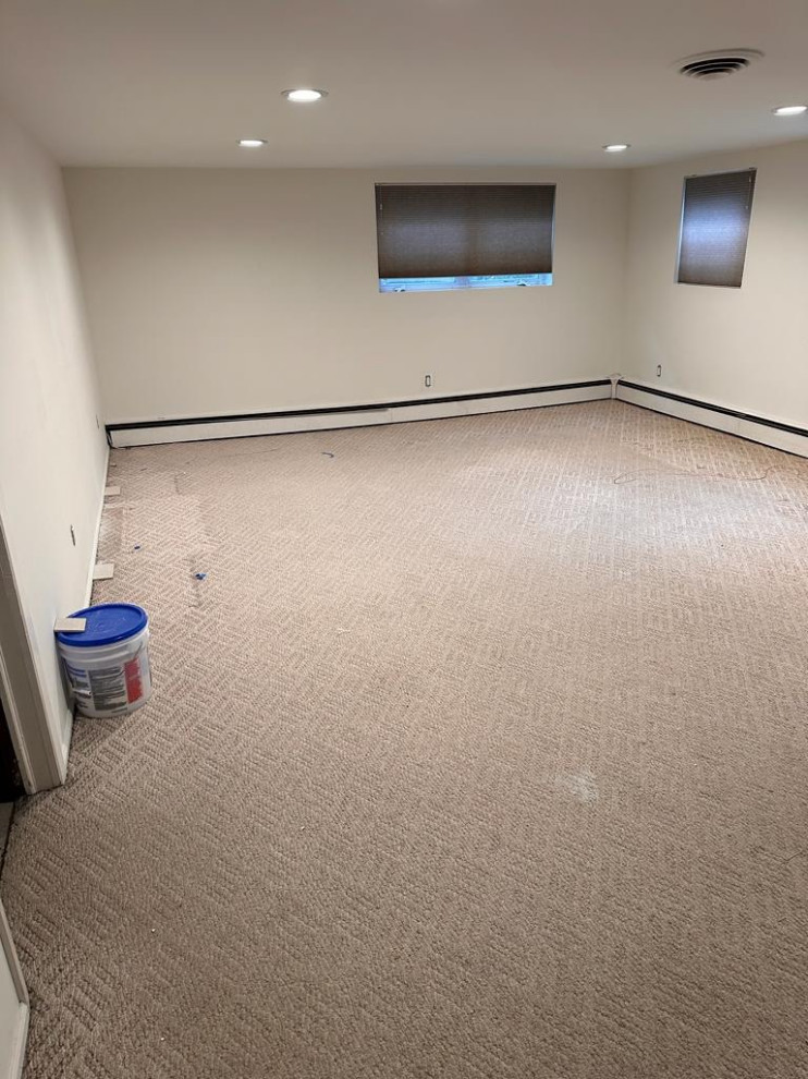 Help with ideas for this split-level basement floor
