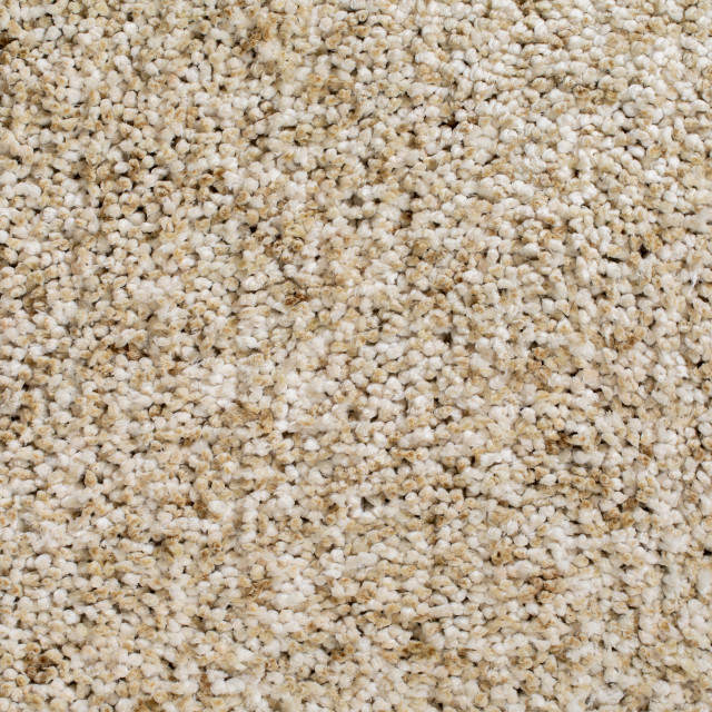 Addison Alpha Lavish Variegated Shag Area Rug, 2'3"x7'6" - Contemporary ...