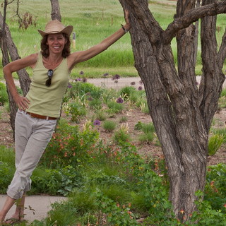 LAUREN SPRINGER - Project Photos & Reviews - Fort Collins, CO US | Houzz