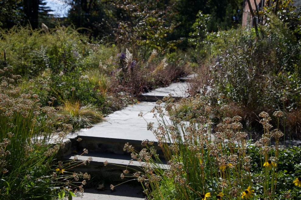 Bryn Mawr, PA - Native Meadow Design/Install - Farmhouse - Landscape ...