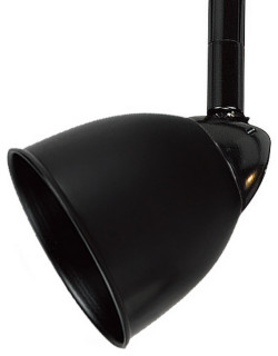 HT Track Light With Glass Shade - Transitional - Track Heads And ...